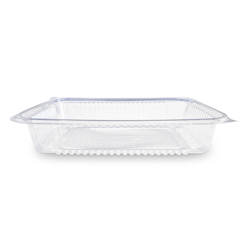 Bandejas PET 107 Cristal x 600 unidades | DPM SA